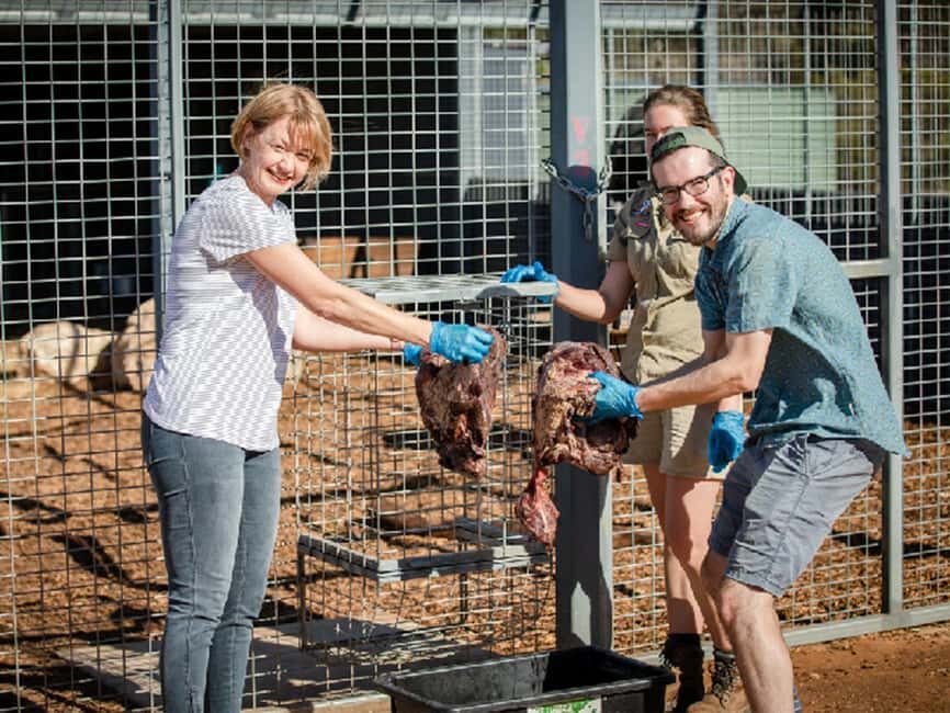 Monarto Safari Park: Lions At Bedtime - The Experience: What We Imagine You’ll Feel