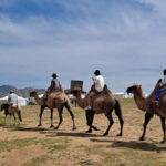 Mongolia: Mini Gobi, Orkhon, and Kharkhorin 4 Day Tour - The Sum Up