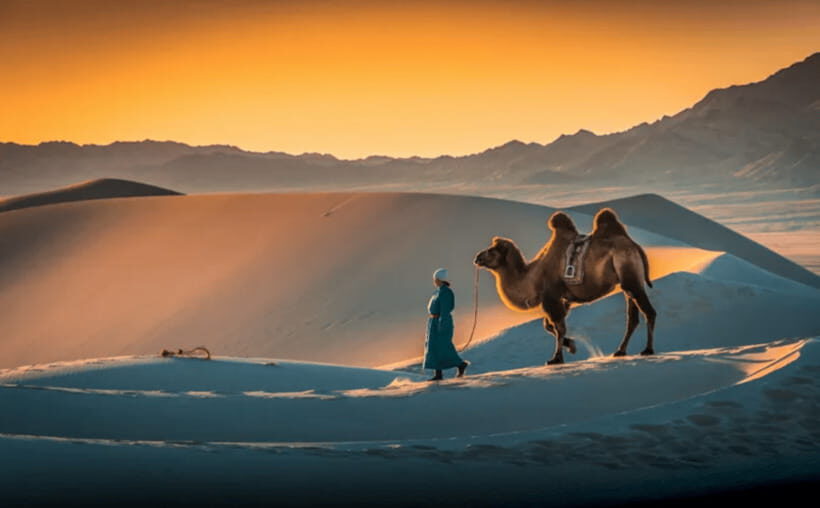 MONGOLIA SOUTH GOBI DESERT: 6 Day Exclusive Private Tour - Itinerary Breakdown: What to Expect Each Day