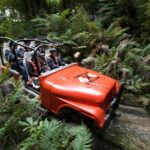 Monster 4X4 Thrill Ride at Off Road NZ - Who Should Consider This Tour?