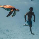 Moorea 4H Shared Boat Tour Whale Swimming and Snorkeling - FAQ