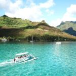 Moorea 6-Hour Snorkeling and Lunch Shared Tour - The Value of This Tour