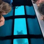 Moorea: Glass Bottom Boat Adventure with Lagoon Wonders - The Experience: Comfort, Safety, and Education