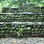 Moorea Highlights Private Tour: Natural and Cultural Attraction - Why Travelers Rave About This Tour