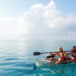 Moorea Lagoon Tour by Transparent Kayak - Why This Tour Might Be Your Best Bet in Moorea