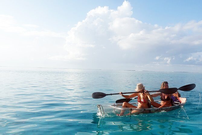 Moorea Lagoon Tour by Transparent Kayak - Why This Tour Might Be Your Best Bet in Moorea