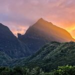 Moorea photographic excursion in private and adapted session - Final Thoughts: Who Will Love This Tour?