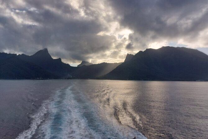 Moorea Private Full Day Tour - Final Thoughts: Who Is This Tour Perfect For?
