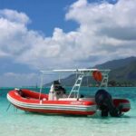 Moorea: Whale watching adventure - Who Should Consider This Tour?