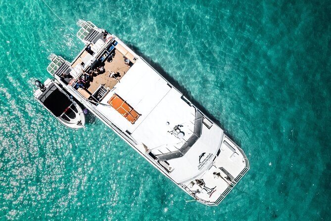 Moreton Island Eco Marine Safari Cruise and Snorkel - What Travelers Say