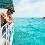 Moreton Island: Marine Discovery Cruise & Dolphin Feeding - The Value and Practicalities