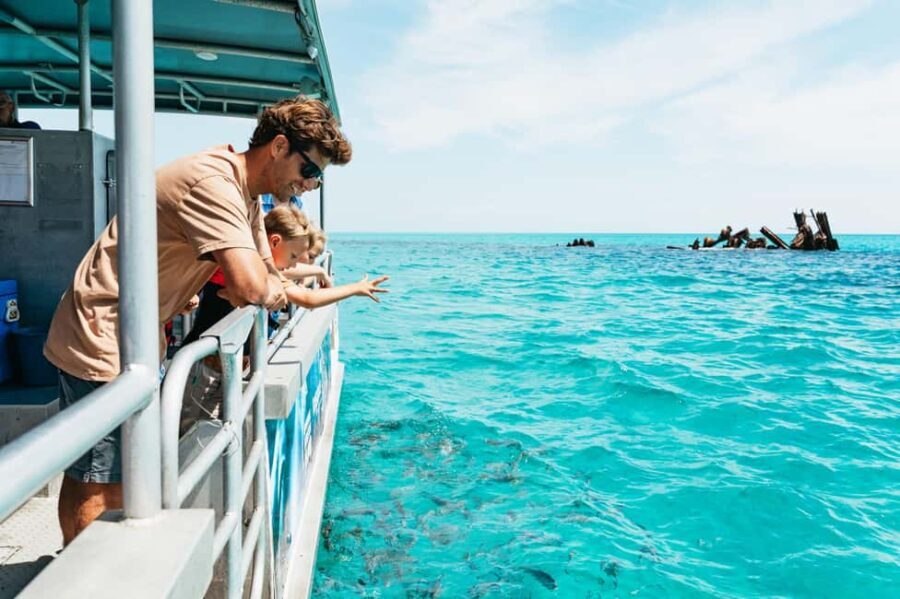 Moreton Island: Marine Discovery Cruise & Dolphin Feeding - The Value and Practicalities
