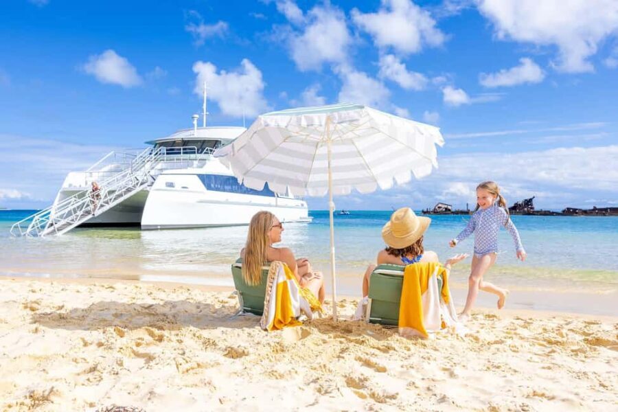 Moreton Island: Premium Tangalooma Snorkel & Dolphin Tour - The Itinerary in Depth