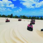 Moreton Island: Tangalooma ATV Quad Bike & Dolphin Feeding - Is It Worth the Price?