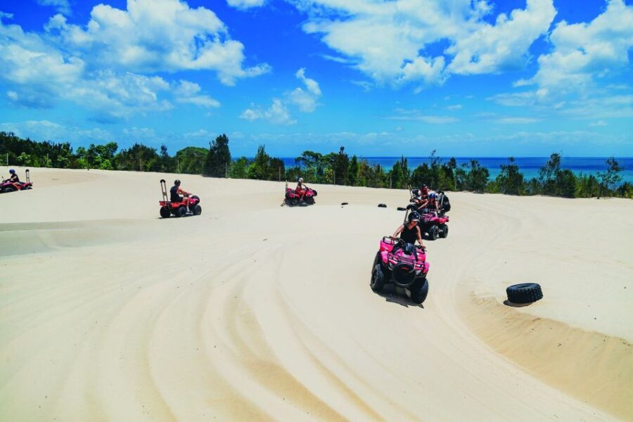 Moreton Island: Tangalooma ATV Quad Bike & Dolphin Feeding - Is It Worth the Price?