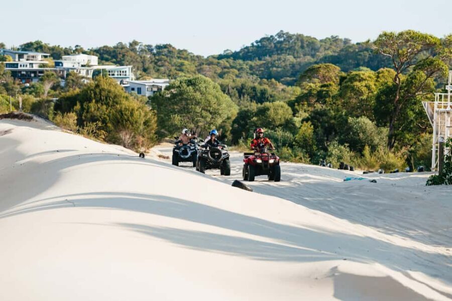 Moreton Island: Tangalooma Day Trip with ATV Quad Bike Tour - The Sum Up