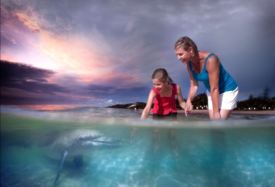 Moreton Island: Tangalooma Desert Safari and Dolphin Feeding - An In-Depth Look at the Tour Experience