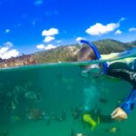 Moreton Island: Tangalooma Snorkeling Tour & Dolphin Feeding - Snorkeling at the Wrecks: Underwater Wonderland