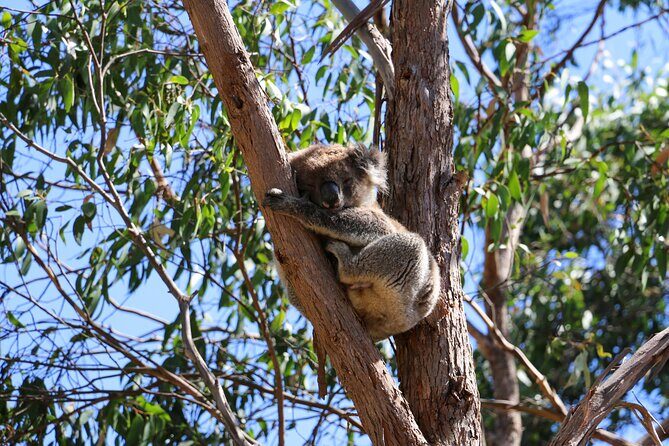 Morialta Wilderness and Wildlife Hike - Final Thoughts