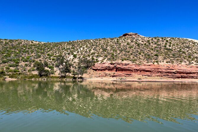 Morning Cruise on the Murchison River in Kalbarri (April to Nov) - Experience Quality and Comfort
