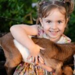 Morning Farm Experience near Gympie & Noosa - What Makes This Tour Special?