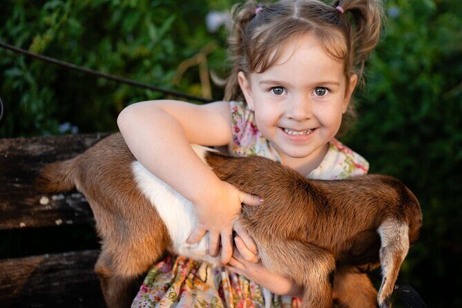 Morning Farm Experience near Gympie & Noosa - What Makes This Tour Special?