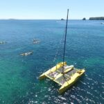 Morning Glory Chilled out Sail (3.5hrs) - The Itinerary: What to Expect
