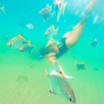 Morning Kayaking and Snorkeling Tour - The Sum Up: Is This Tour Worth It?