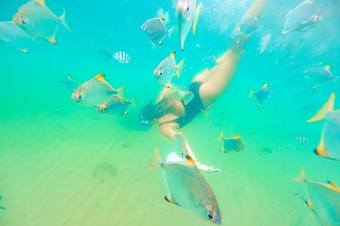 Morning Kayaking and Snorkeling Tour - The Sum Up: Is This Tour Worth It?