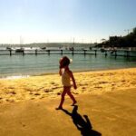 Morning or Afternoon Highlights Tour in Sydney with a Local Guide - What Youll Gain from This Tour