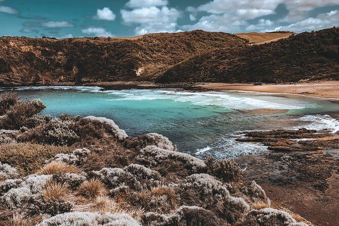 Mornington Peninsula Hike and Hot Springs Day Tour - 8 people max - Authentic Traveler Perspectives