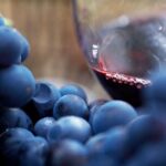 Mornington Peninsula Lunch, Wine & Pt Leo Estate Art Walk - Exploring the Wineries: A Taste of the Region’s Best
