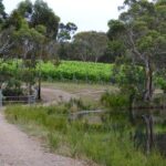 Mornington Peninsula Private Car Winery Tour.1-7 People One Car Price. - The Value of a Private, Flexible Tour