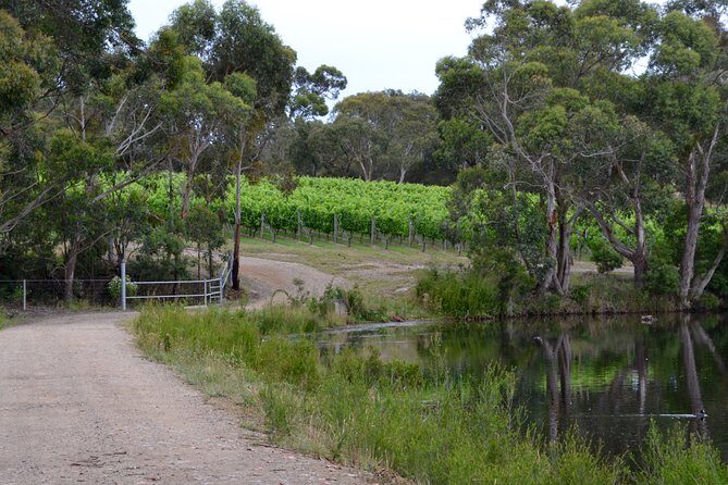 Mornington Peninsula Private Car Winery Tour.1-7 People One Car Price. - The Value of a Private, Flexible Tour