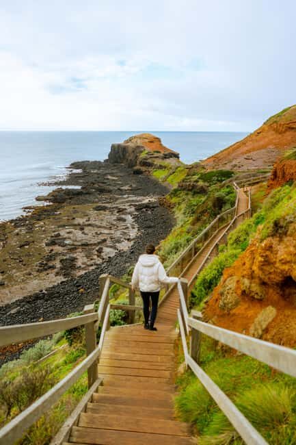 Mornington Peninsula Private Day Tour - Assessing the Value