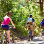 Mornington Peninsula: Self Guided Food & Wine Cycle Tour - An Overview of the Tour Experience