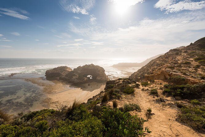 Mornington Peninsula Sightseeing and Bay Cruise - The Value Proposition: What’s Included and What’s Not