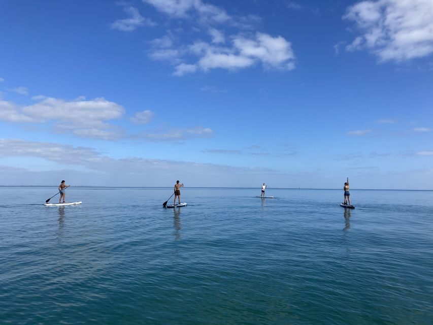 Mornington Peninsula: SUP, Hike, & Hot Springs Trip w/ Lunch - A Picnic Lunch with Fresh Local Flavors