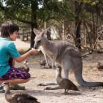 Mornington Peninsula Tour: wildlife, wine, art & hot springs - Practical Aspects & Value