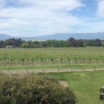 Mornington Peninsula Winery Bus Tour with Lunch & Wine - Detailed Breakdown of the Wineries and Stops