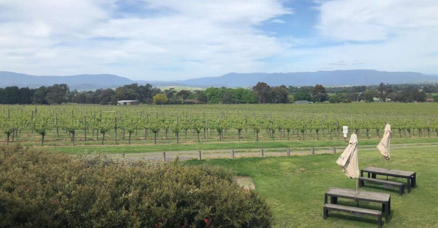 Mornington Peninsula Winery Bus Tour with Lunch & Wine - Detailed Breakdown of the Wineries and Stops