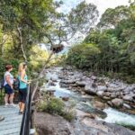 Mossman Gorge Adventure Day - In-Depth Look at the Itinerary