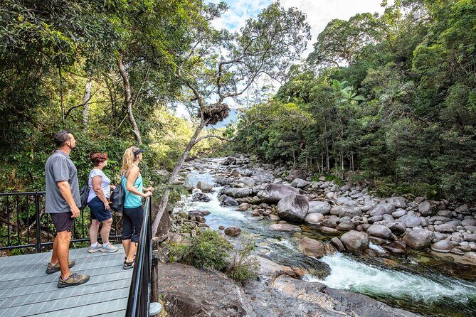 Mossman Gorge Adventure Day - In-Depth Look at the Itinerary