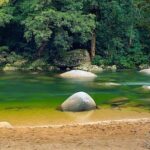 MOSSMAN GORGE TRANSFER between Port Douglas and Mossman Gorge (return) - FAQs about the Mossman Gorge Transfer