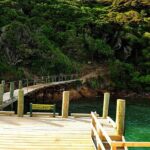 Motuara Island Bird Sanctuary and Ship Cove Cruise from Picton - Practical Details That Matter