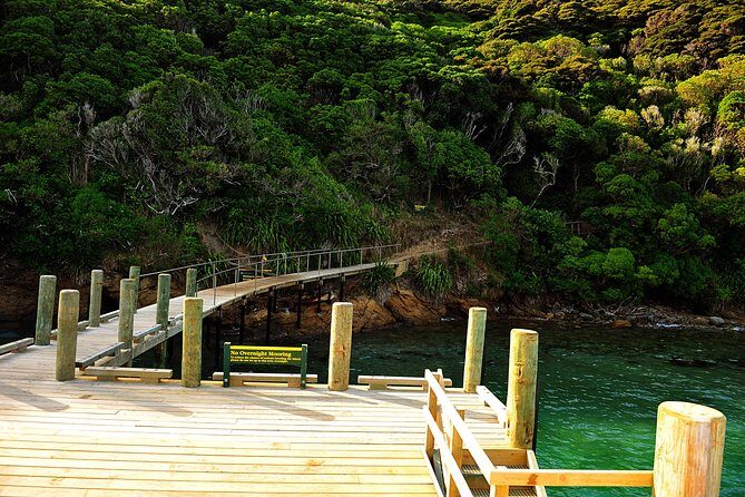 Motuara Island Bird Sanctuary and Ship Cove Cruise from Picton - Practical Details That Matter