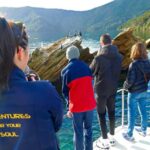 Motuara Island Sanctuary: Wildlife & Dolphin Watching Tour - Marine Wildlife: Dolphins, Penguins, and More