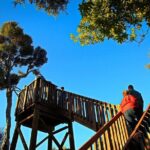 Motuara Wildlife Sanctuary Tour and Dolphin Cruise from Picton - Detailed Tour Breakdown