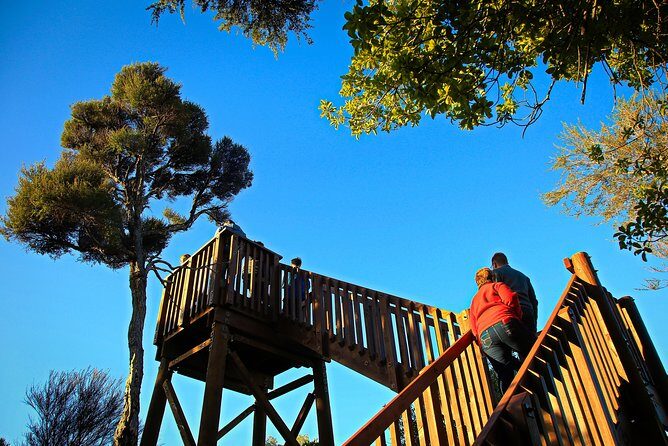 Motuara Wildlife Sanctuary Tour and Dolphin Cruise from Picton - Detailed Tour Breakdown
