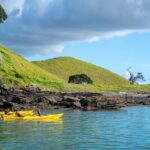 Motukorea / Browns Island Sea Kayak Journey - What to Expect on Your Kayaking Trip